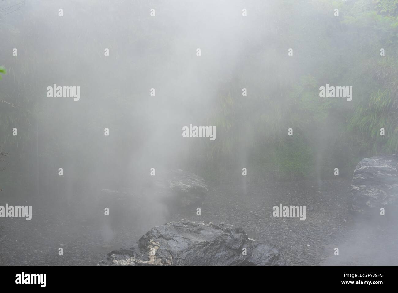Artificial fog for plants in the garden Stock Photo - Alamy