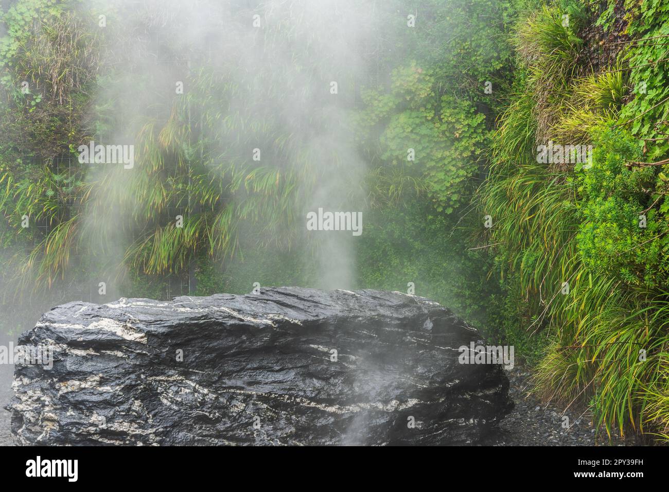 Artificial fog for plants in the garden Stock Photo - Alamy