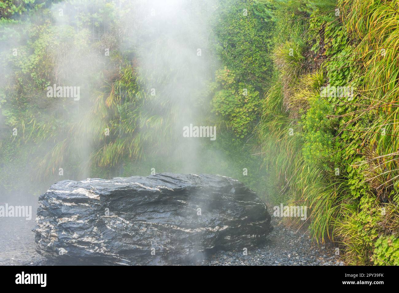 Artificial fog for plants in the garden Stock Photo - Alamy