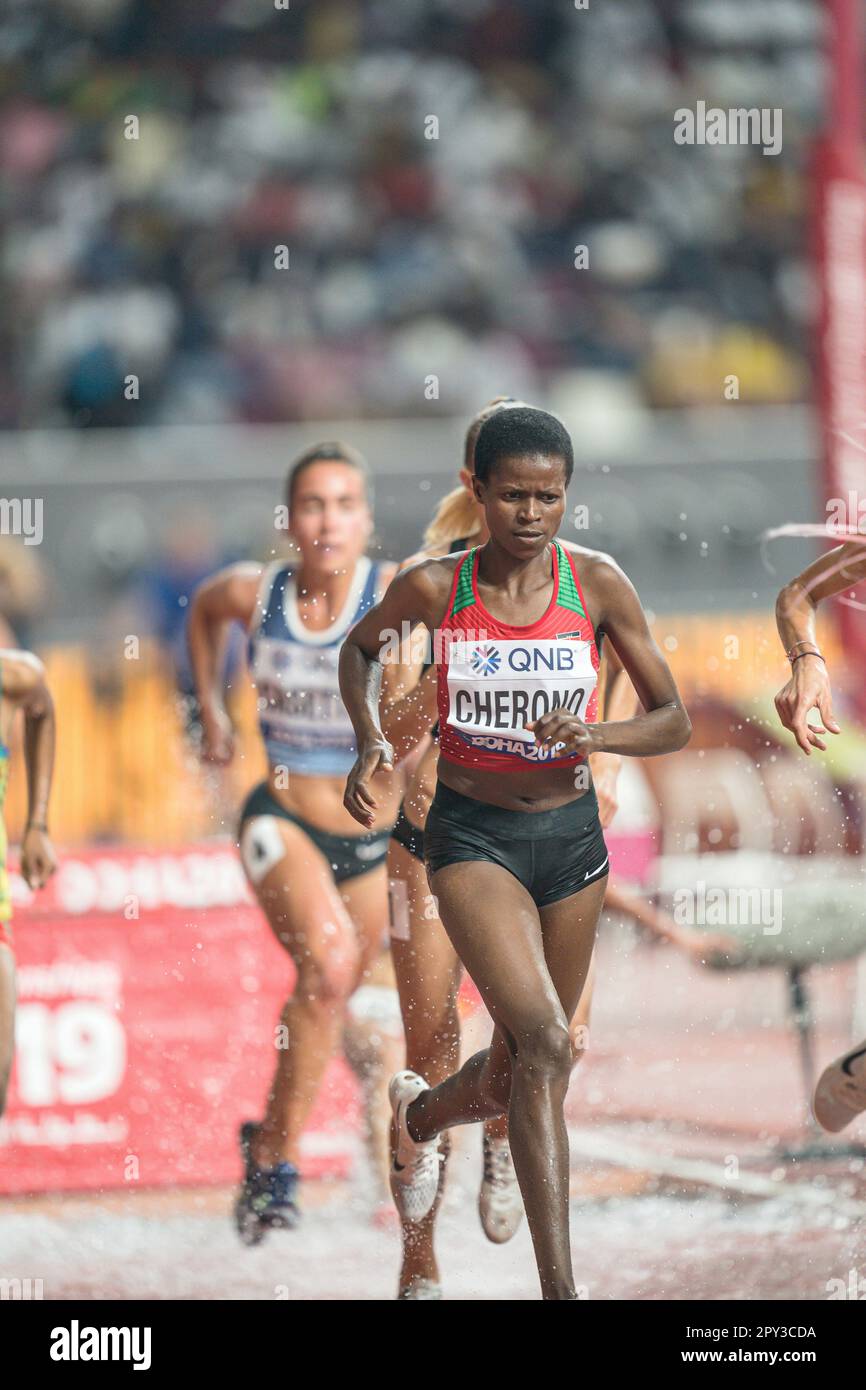 Fancy CHERONO participating in the 3000 meter steeplechase at the Doha ...