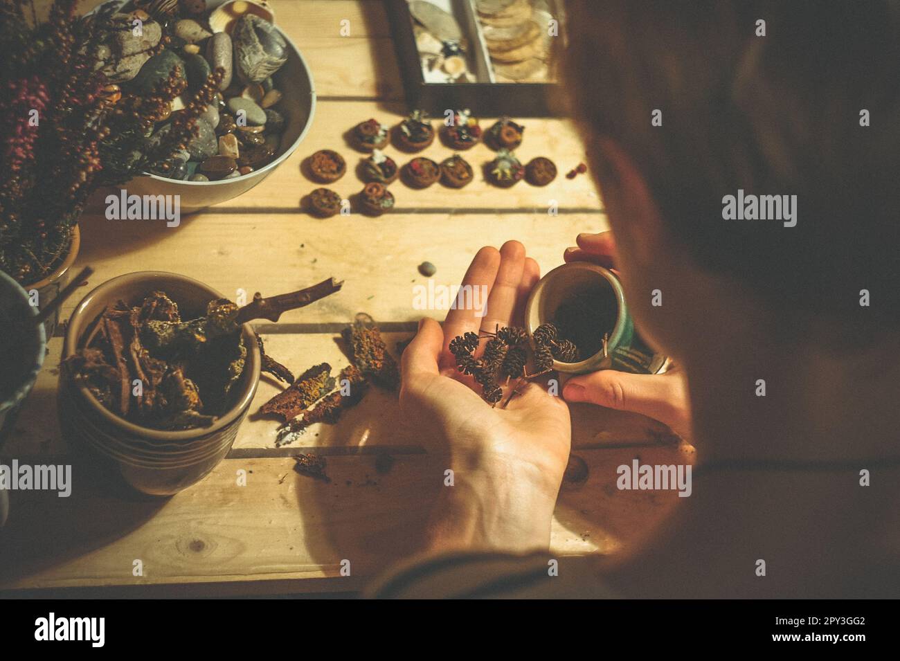 Close up sorting natural objects from forest for craft concept photo ...