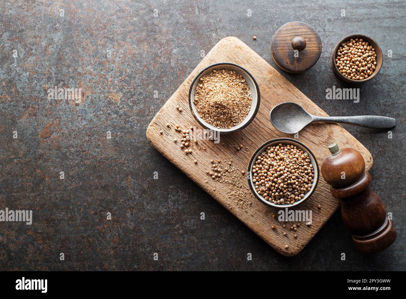 Organic Dried coriander seeds (Coriandrum sativum) and powder on rustic background. Healthy ...
