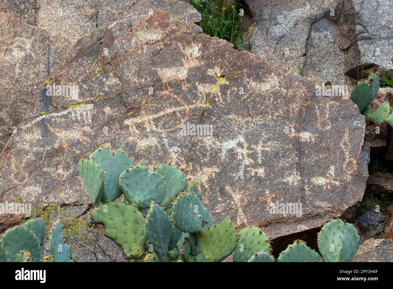 Petroglyphs along Badger Springs Trail, Agua Fria National Monument ...