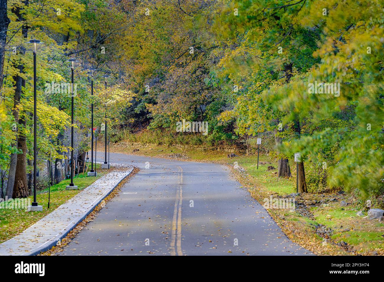 Long asphalt village road with sidewalk and street lights on a fall ...