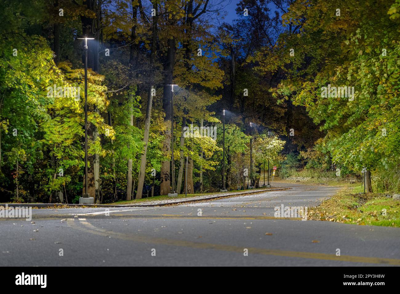 Long asphalt village road with sidewalk and street lights on a fall ...