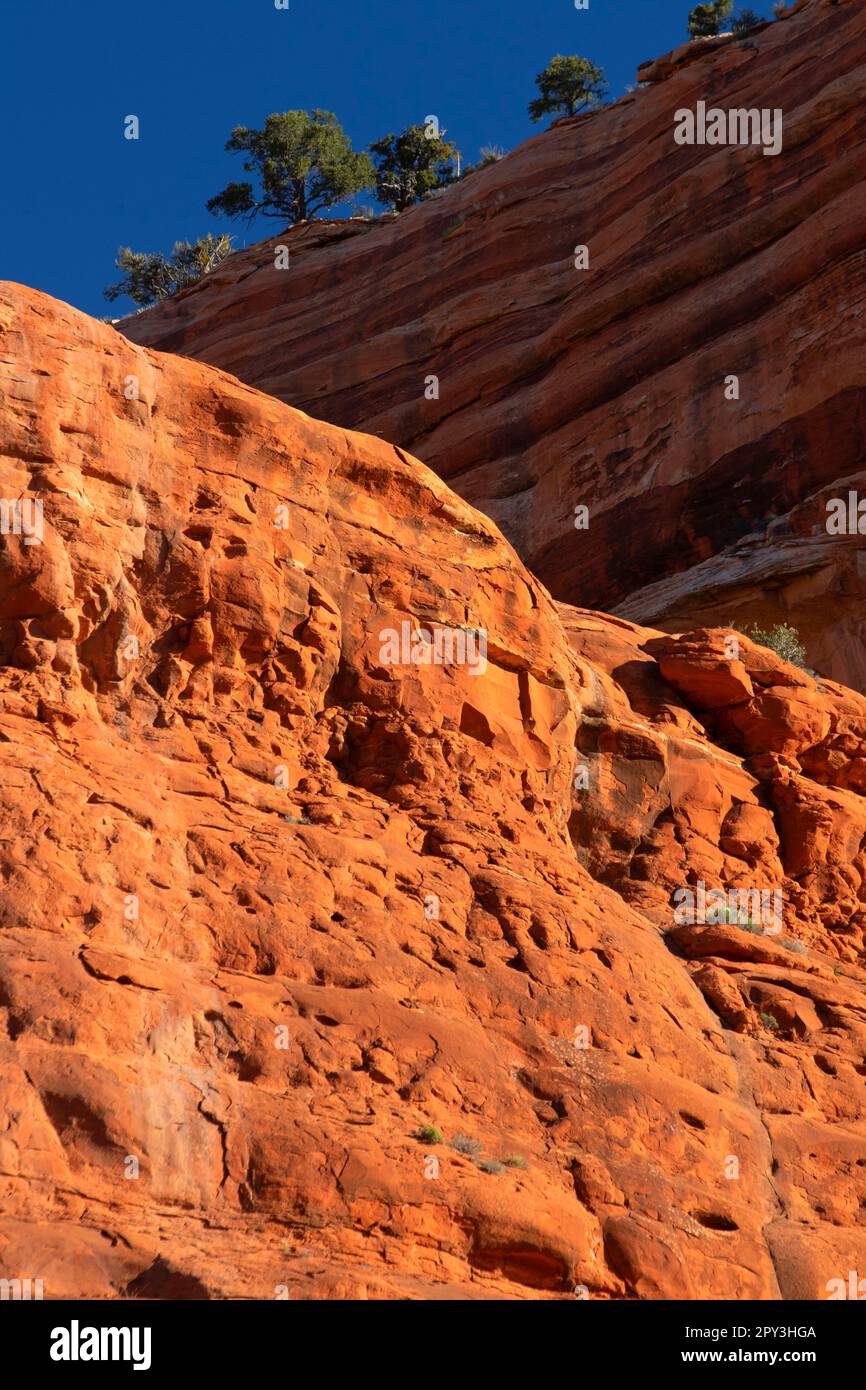 Courthouse Butte, Red Rock Country, Coconino National Forest, Arizona ...