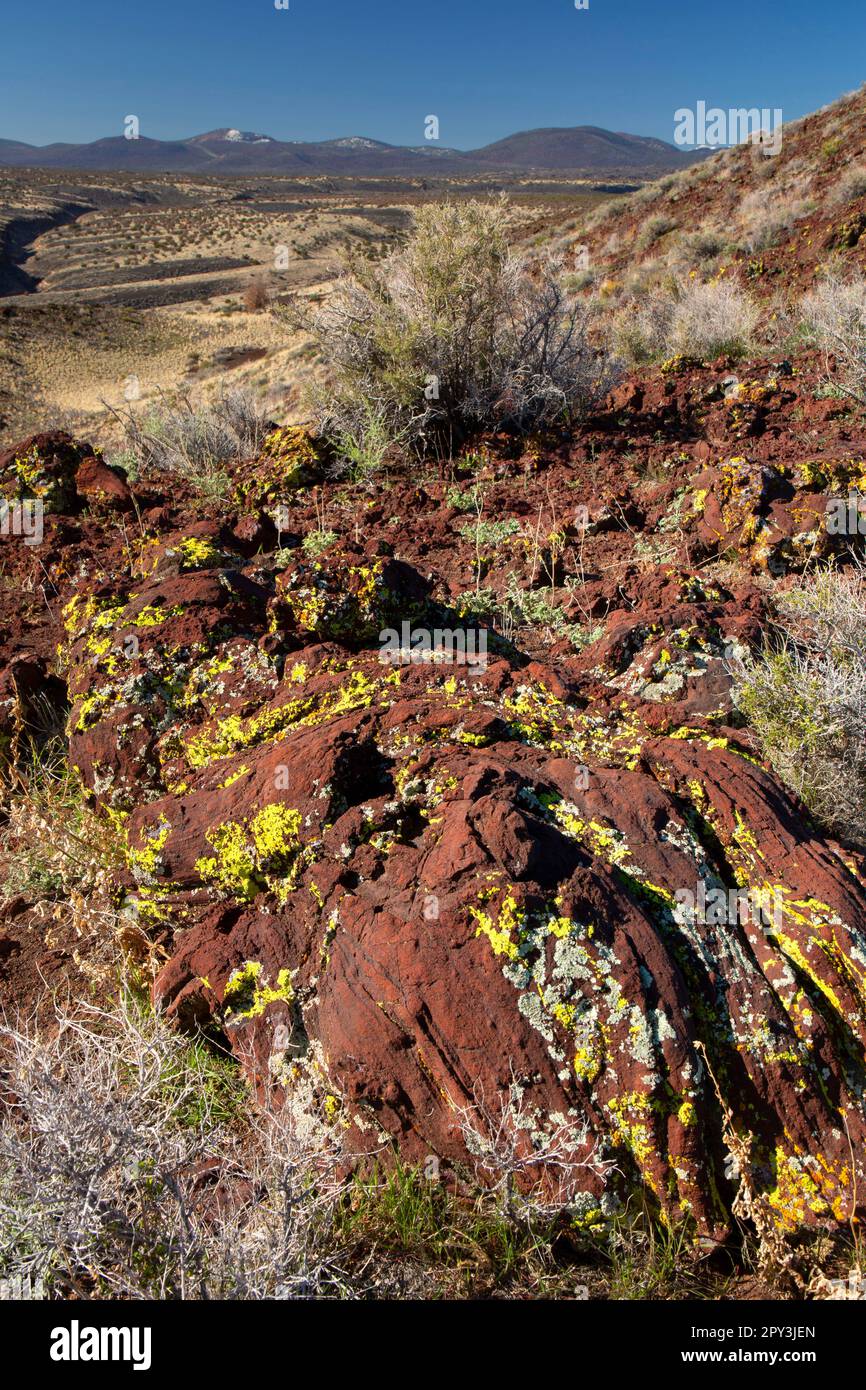 High desert view from Doney Trail, Coconino National Forest, Arizona ...
