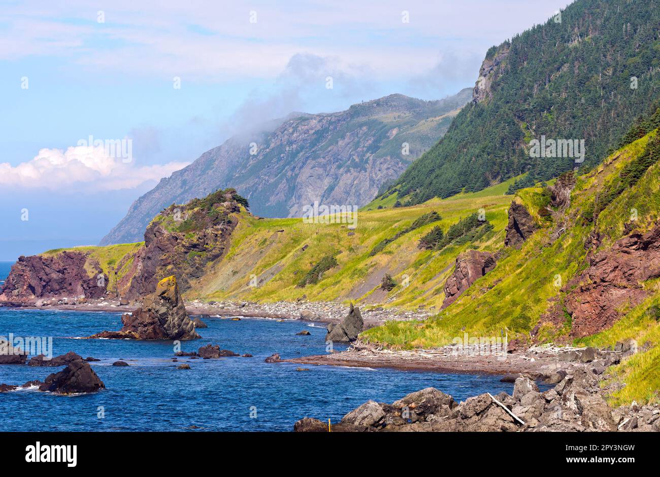 Rugged Rocks and Green Hills on a Misty Coast in the Green Gardens of ...