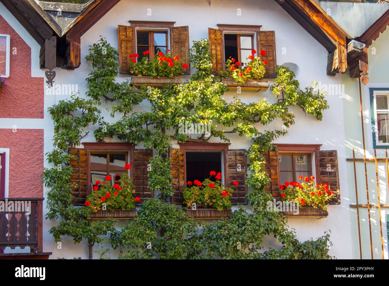 Colorful buildings in Hallstatt, Austria Stock Photo - Alamy