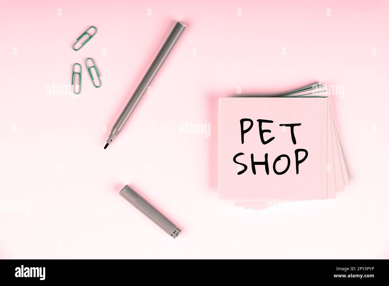 Inspiration showing sign Pet Shop, Business concept Retail business ...