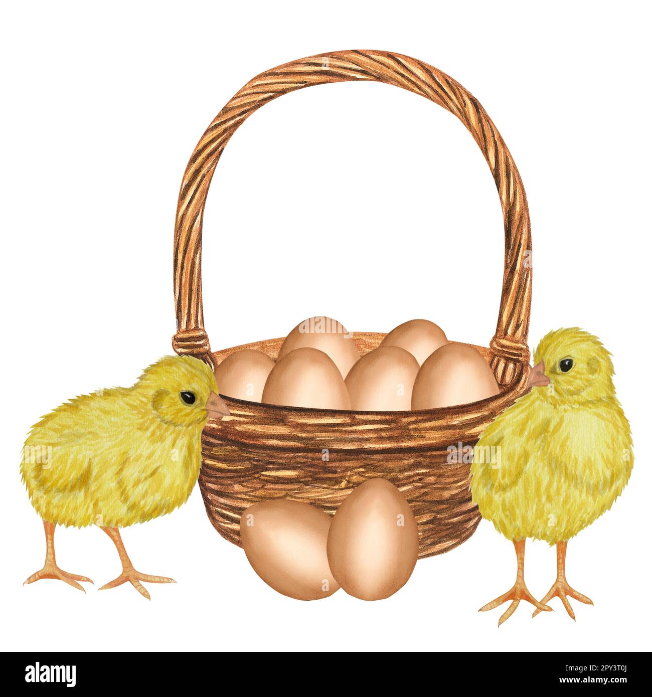 Yellow chickens brown eggs shell in the basket. Farm product. Protein ...