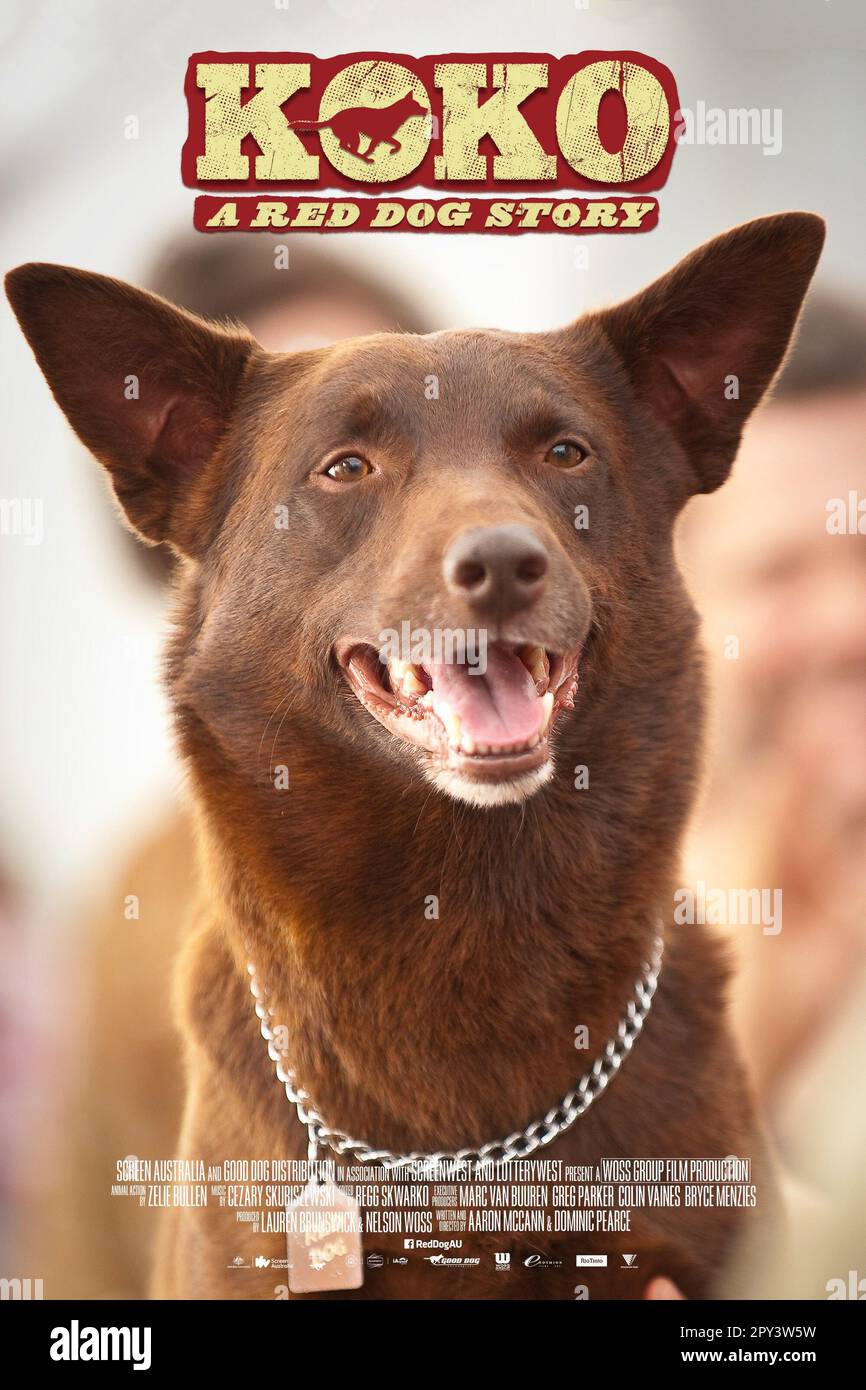 KOKO: A RED DOG STORY, poster, Hero the dog as Koko, 2019. © Samuel ...