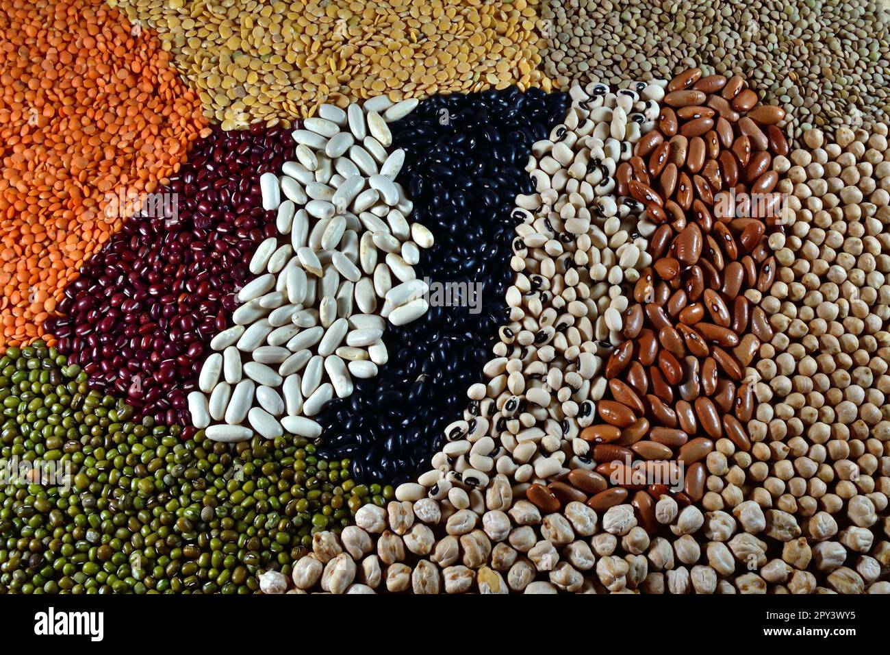 Variety of raw legumes with different colors and textures. Spread on ...