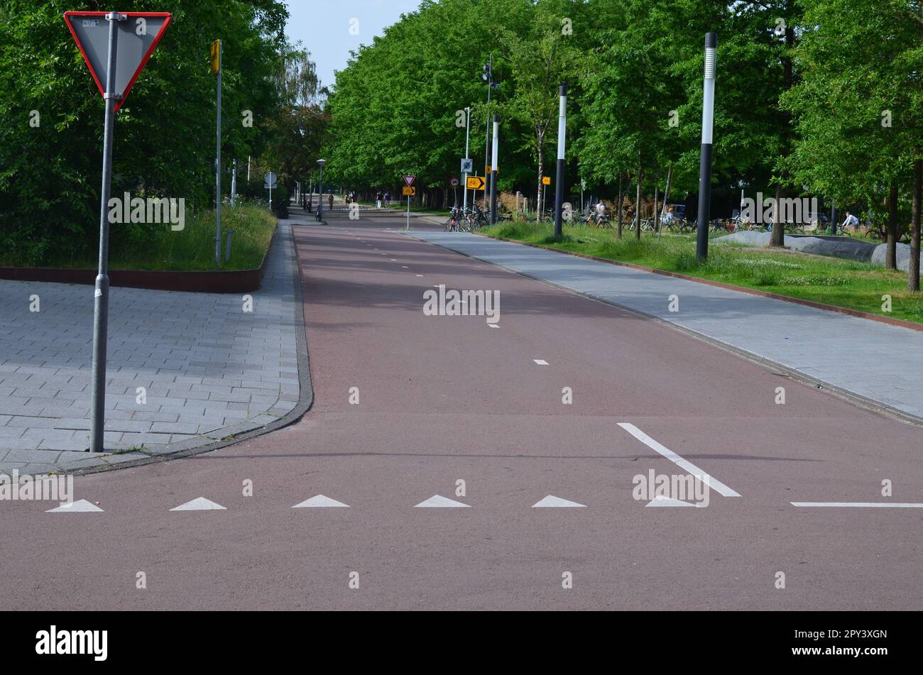 Empty bike lane with markings in park Stock Photo - Alamy