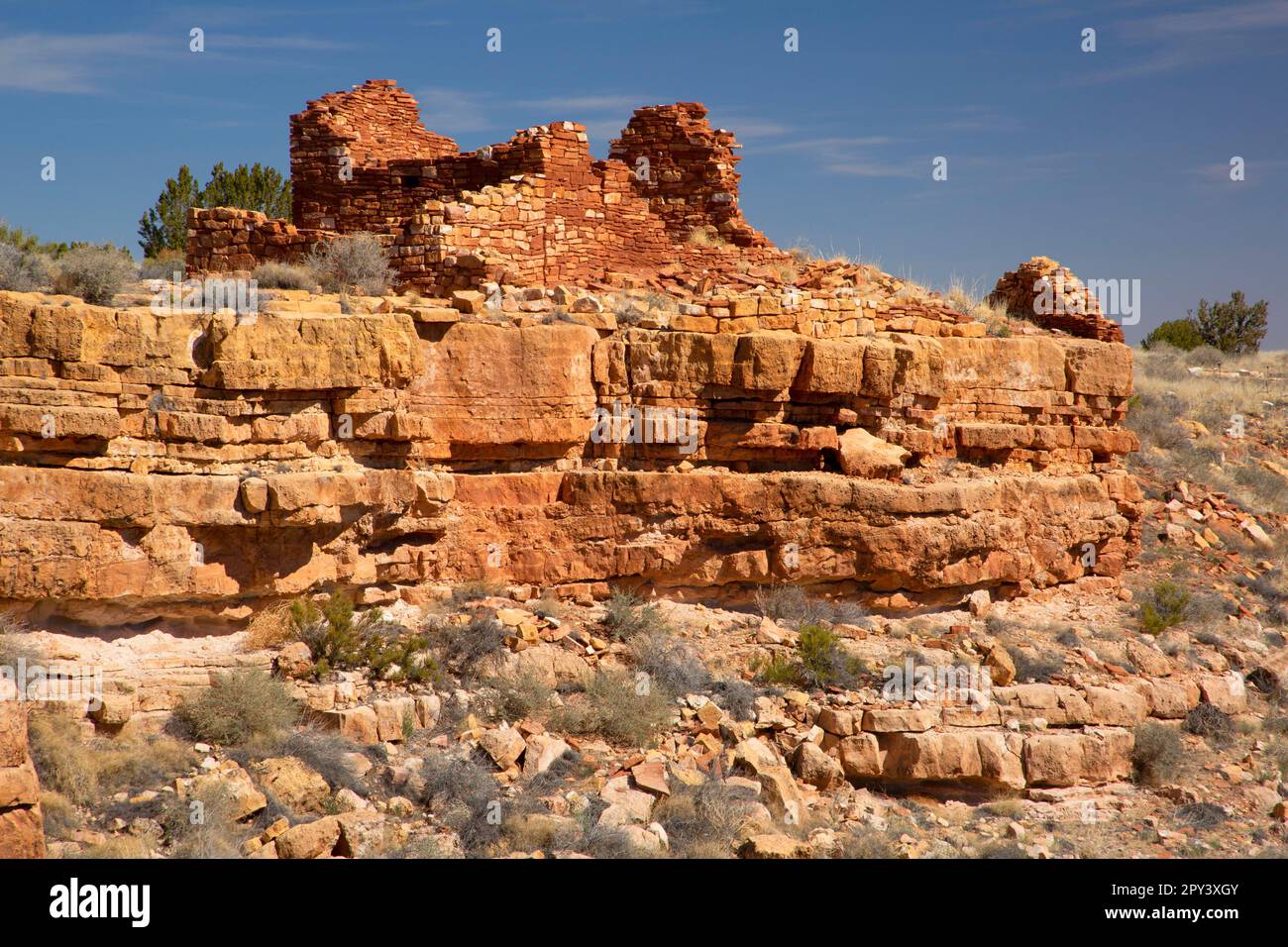 Box Canyon ruin, Wupatki National Monument, Arizona Stock Photo - Alamy