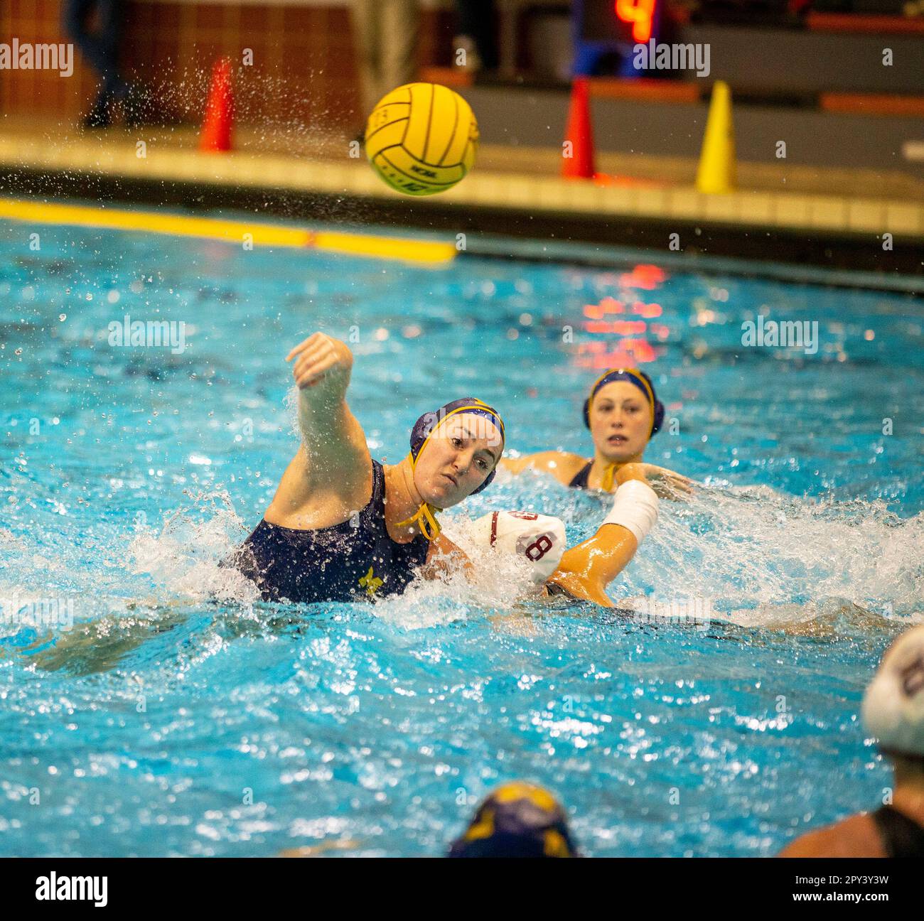 Women's college water polo match at Princeton, NJ Stock Photo - Alamy