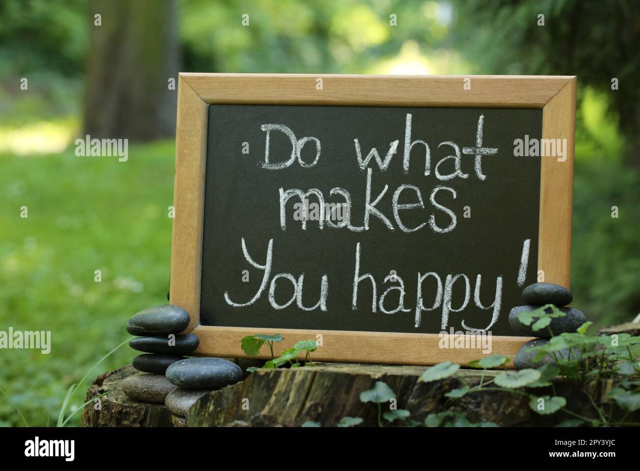 Chalkboard with phrase Do What Makes You Happy on stump outdoors Stock ...