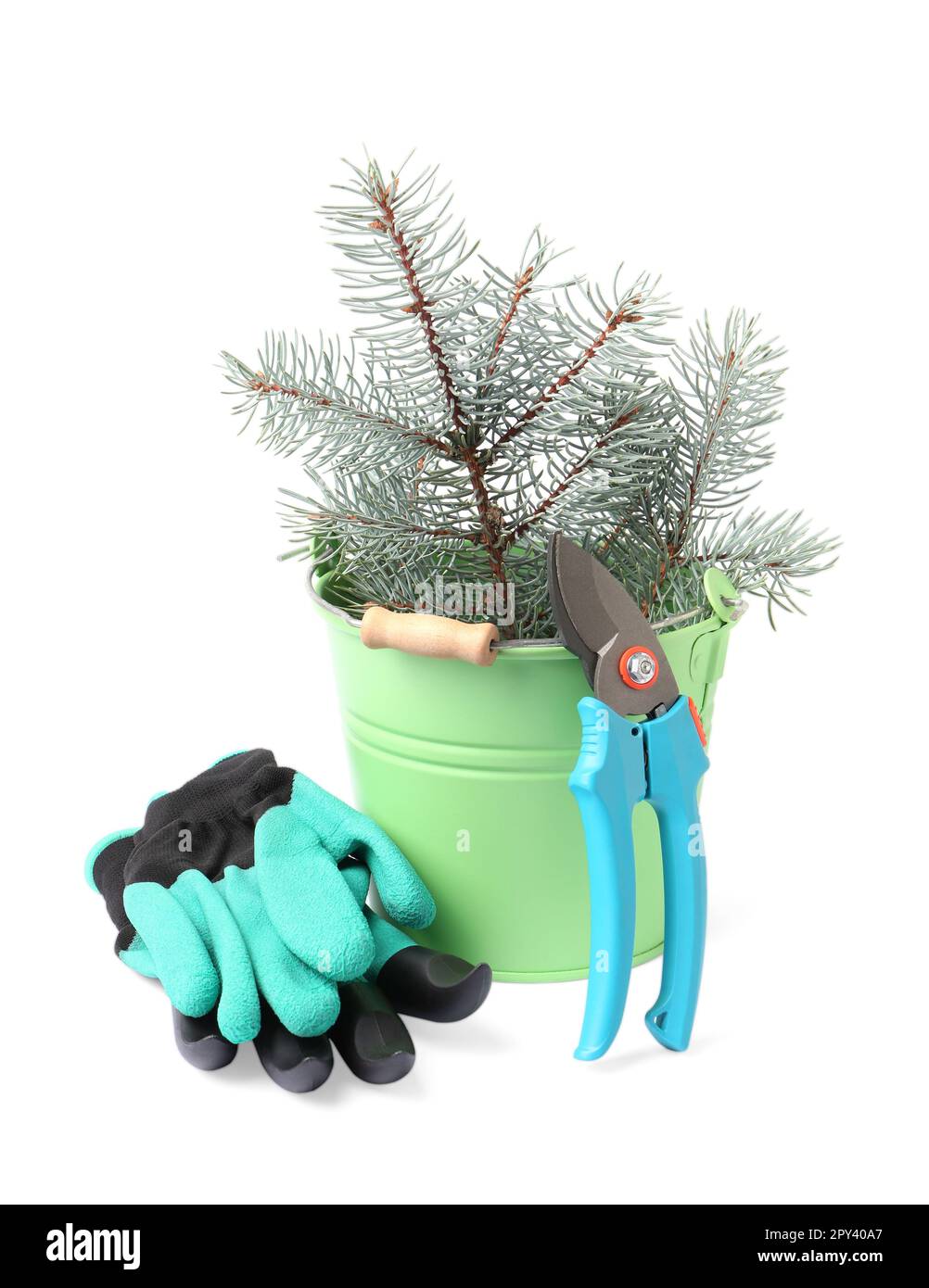 Gardening gloves, pruner and bucket with spruce branch on white ...