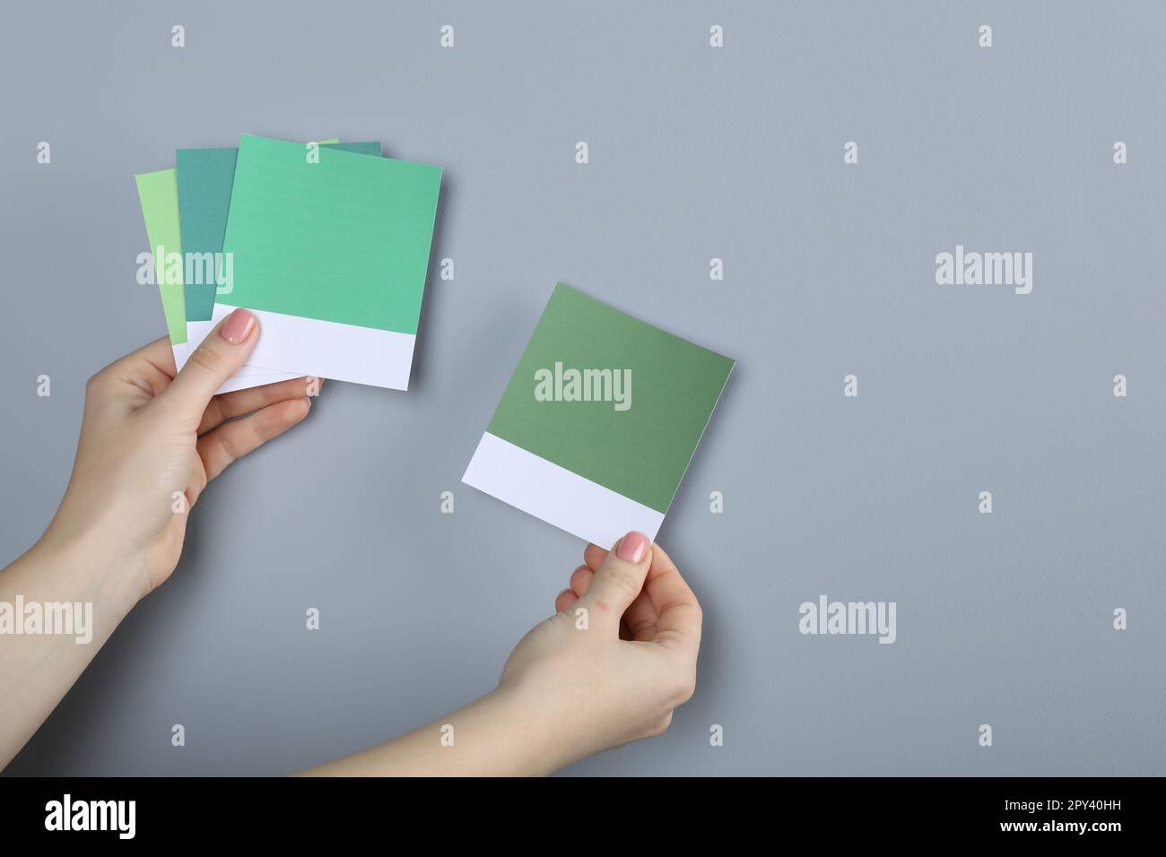 Woman with color sample cards choosing paint shade near grey wall ...