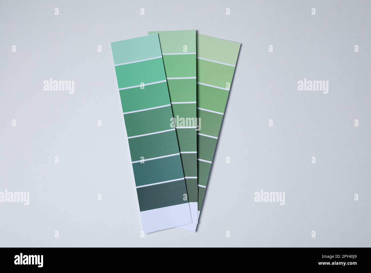 Color paint chips of green shades on light background, top view Stock ...