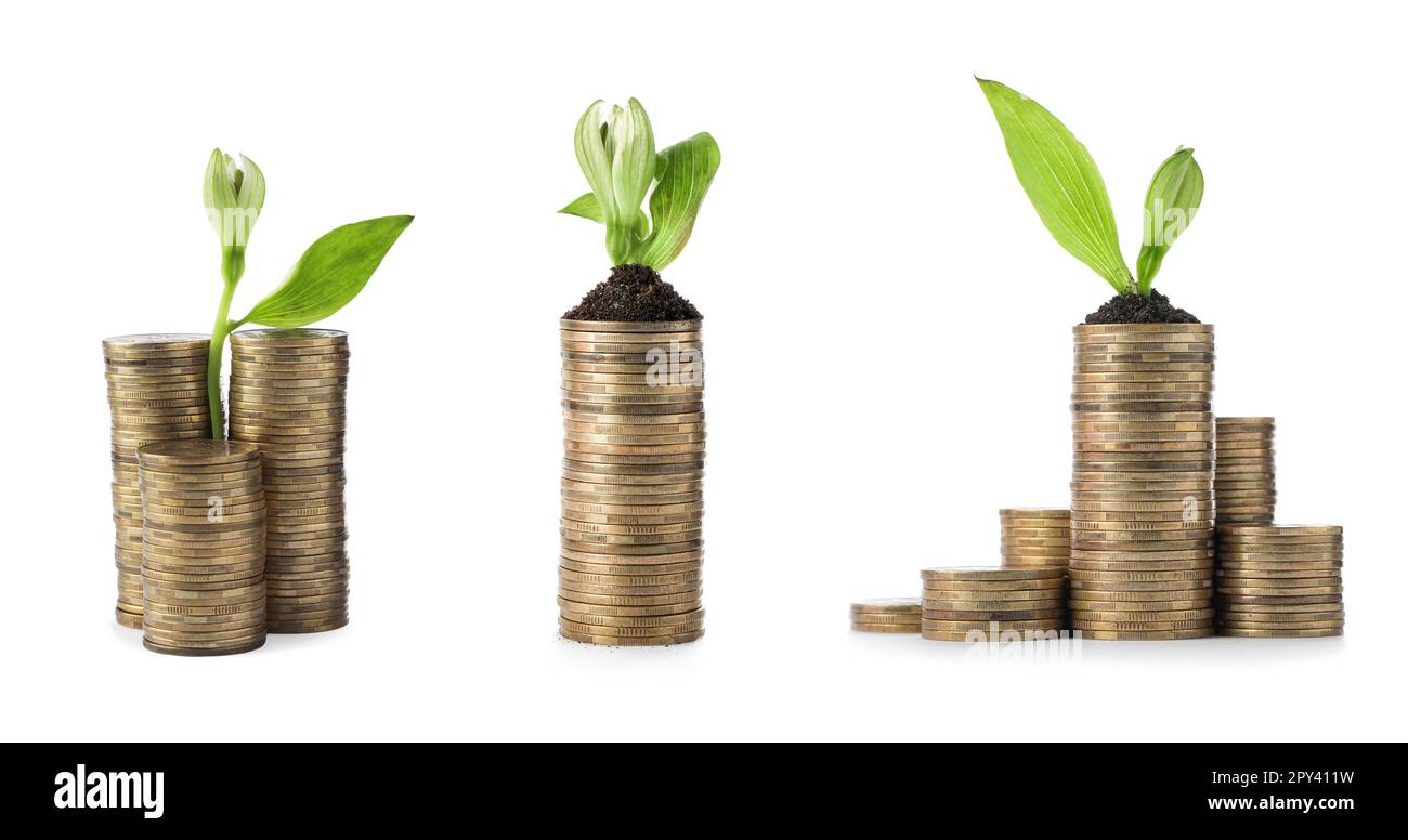 Set with stacks of coins and growing plants on white background, banner ...