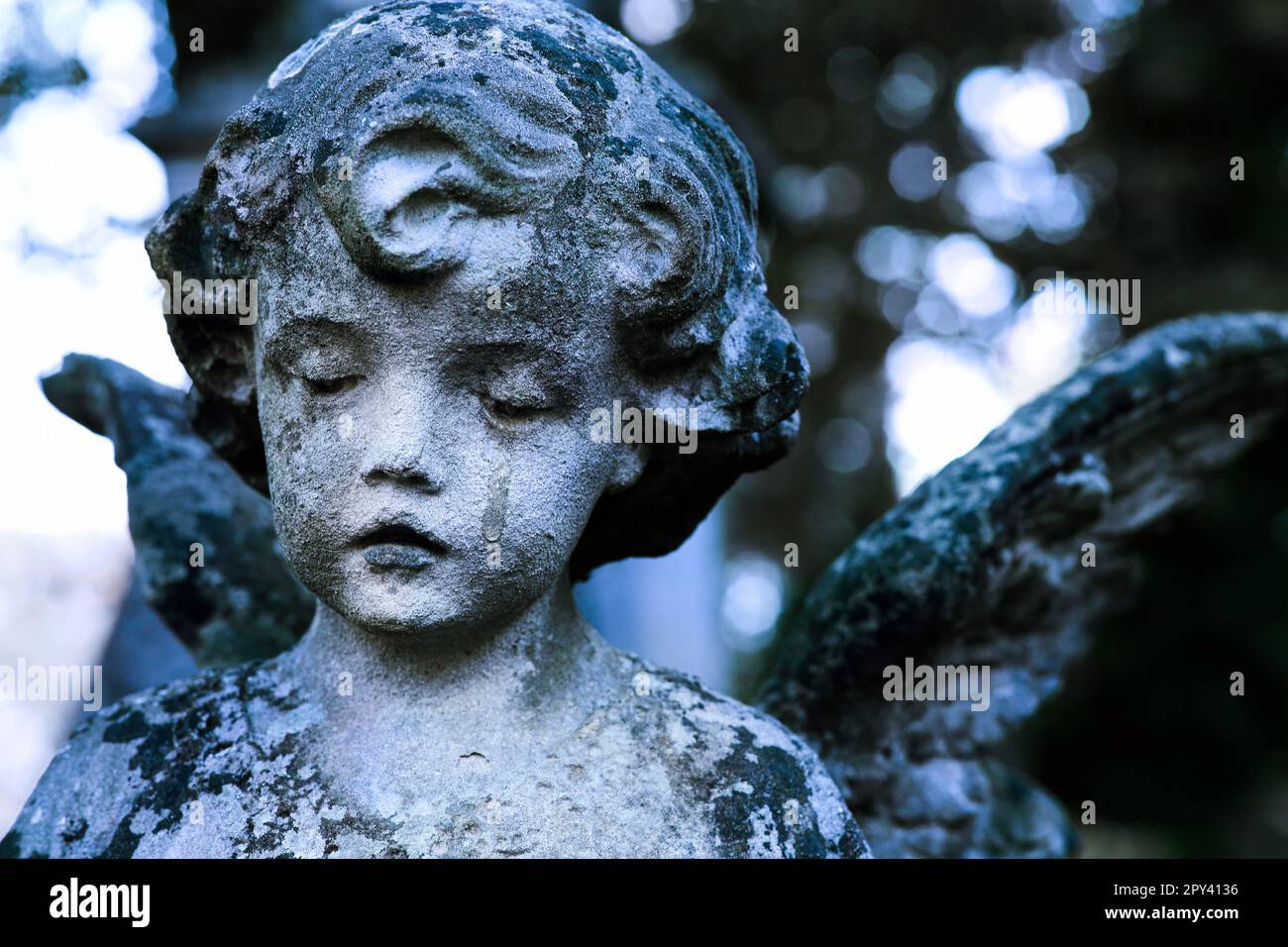 Blue memorial symbolic closeup hi-res stock photography and images - Alamy