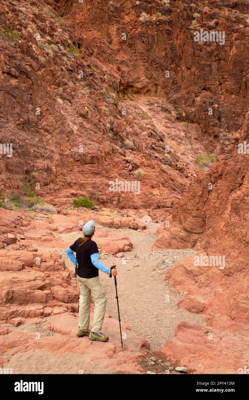Crack Trail, Sara Park, Lake Havasu City, Arizona Stock Photo - Alamy