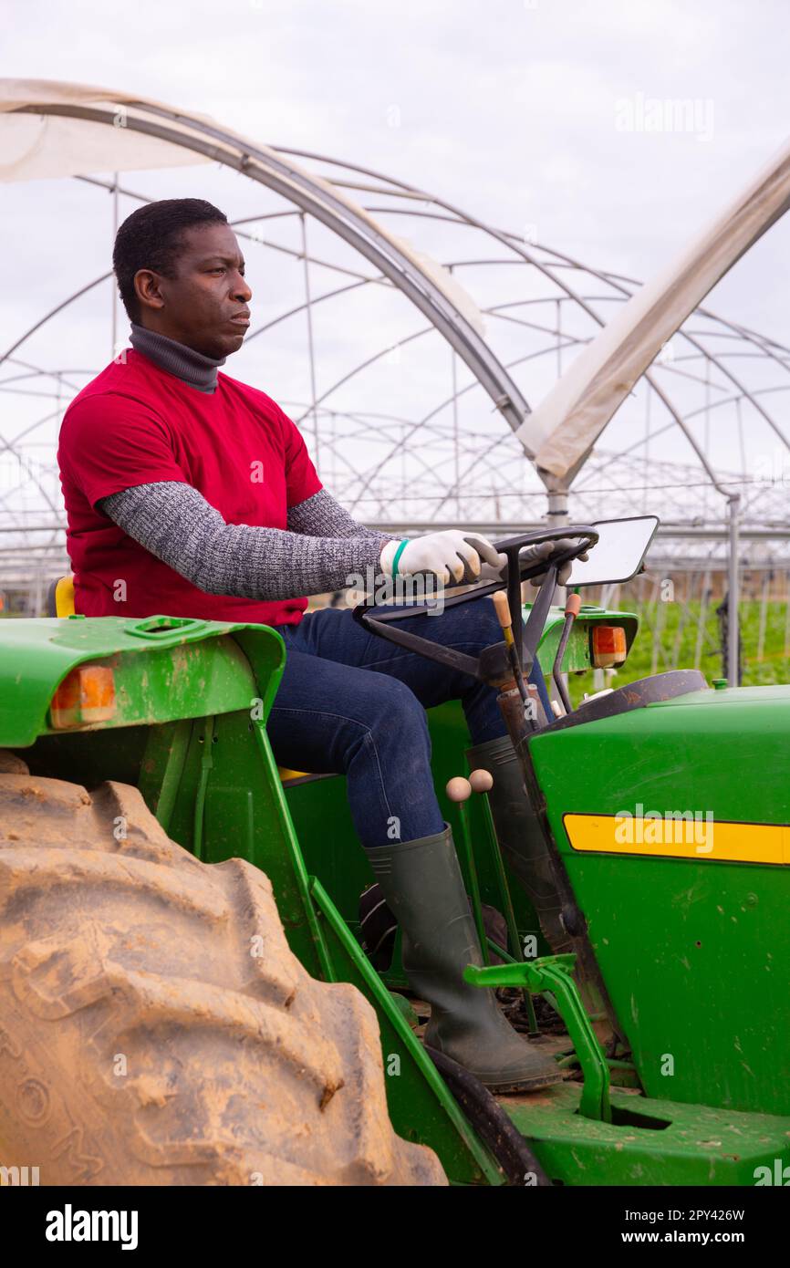 African-american worker farmer working on tractor in orangery Stock ...