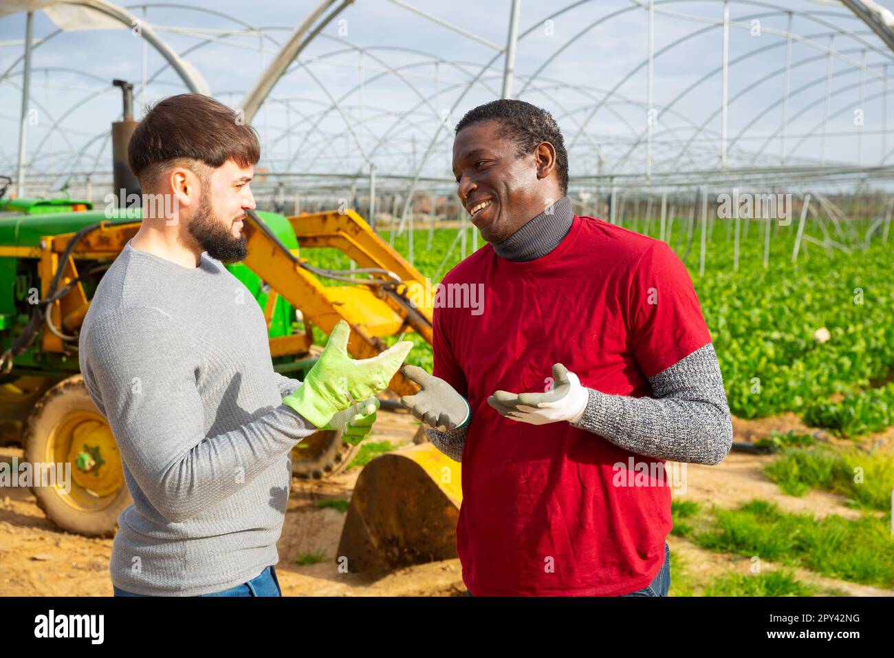 Two positive farmers break in between work Stock Photo - Alamy