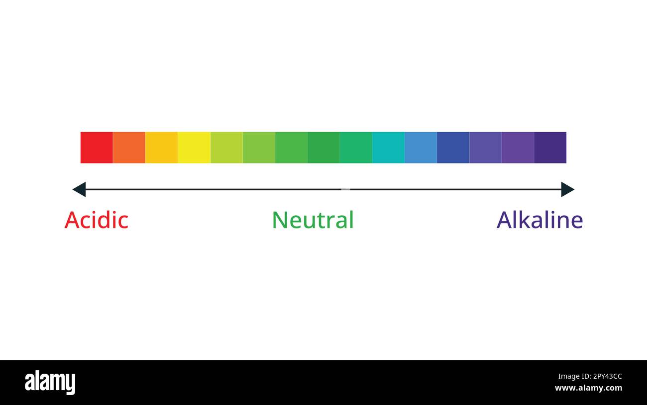 Colorful Ph Test Strip Symbol. Vector Illustration Stock Vector Image ...
