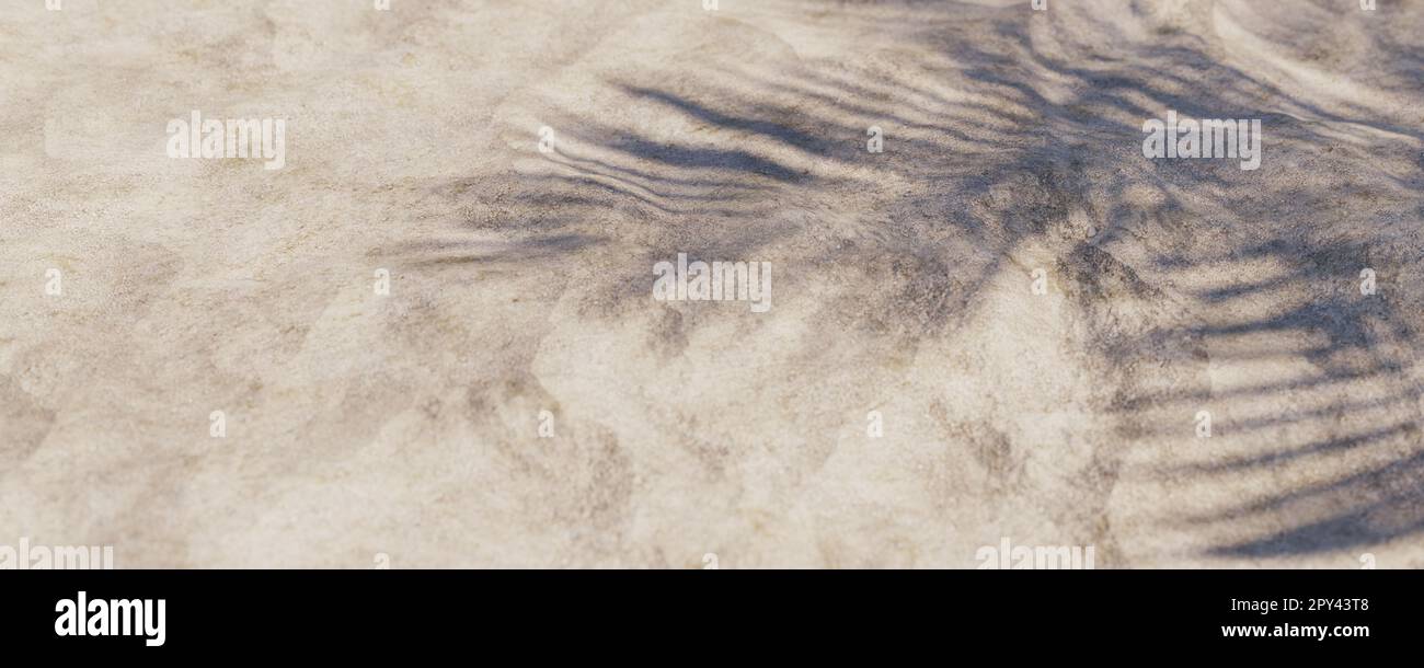 Summer beach vacation concept background with palm tree shadows on sand ...