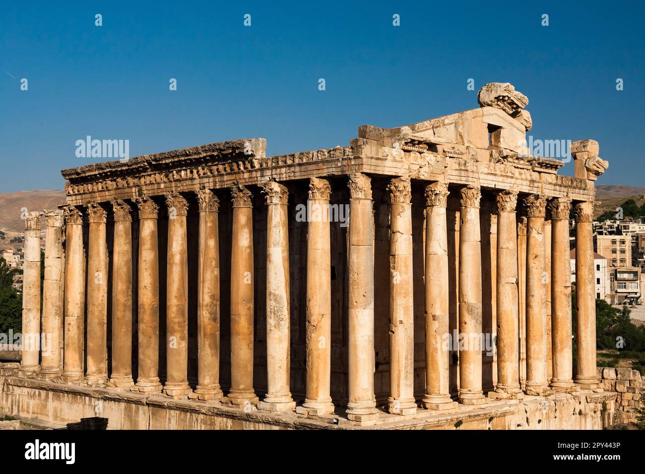 Baalbek, Roman temple of Bacchus, Bekaa valley, Baalbek, Baalbek-Hermel ...