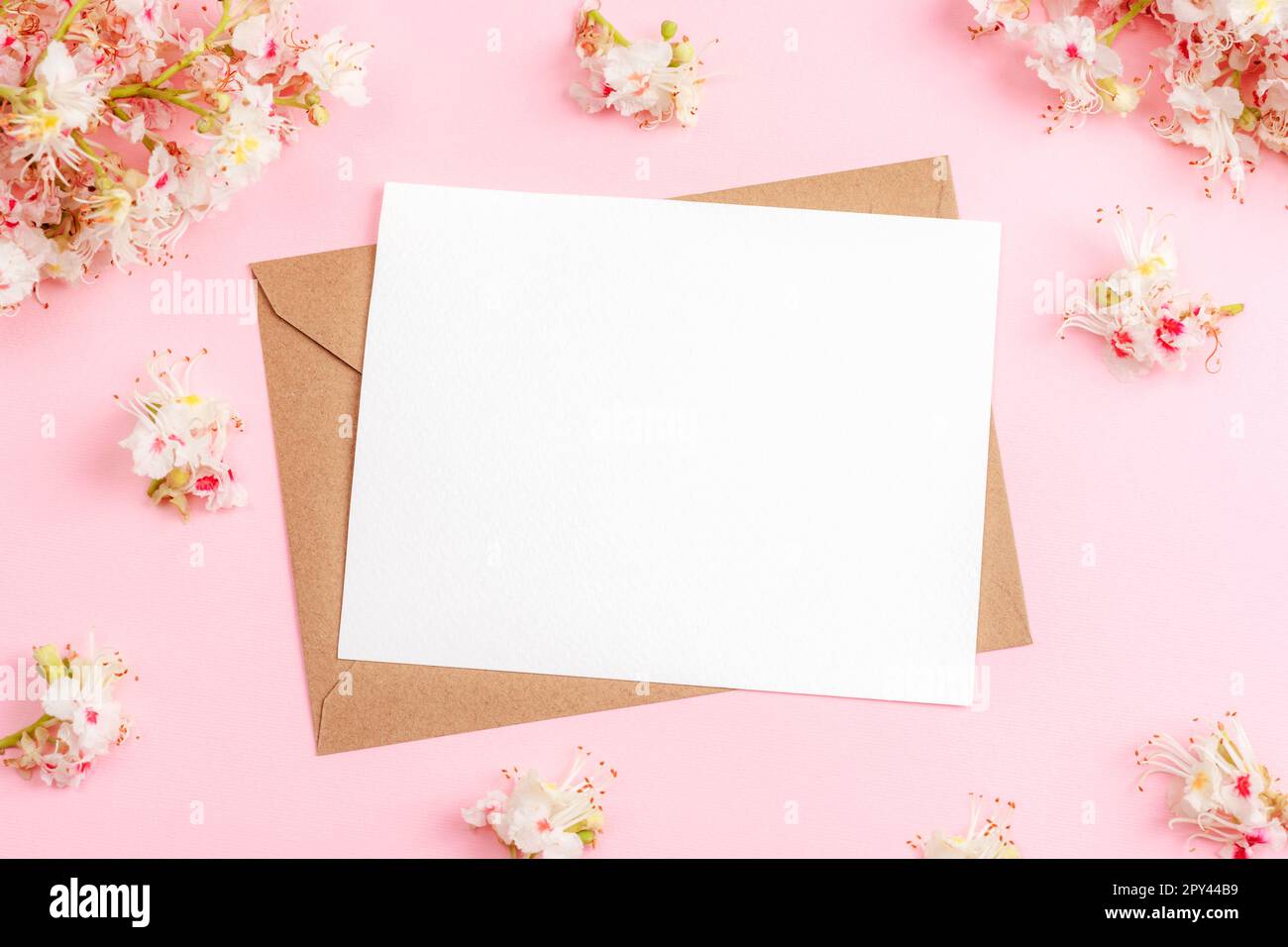Envelope with blank card, white chestnut flowers on pink background ...