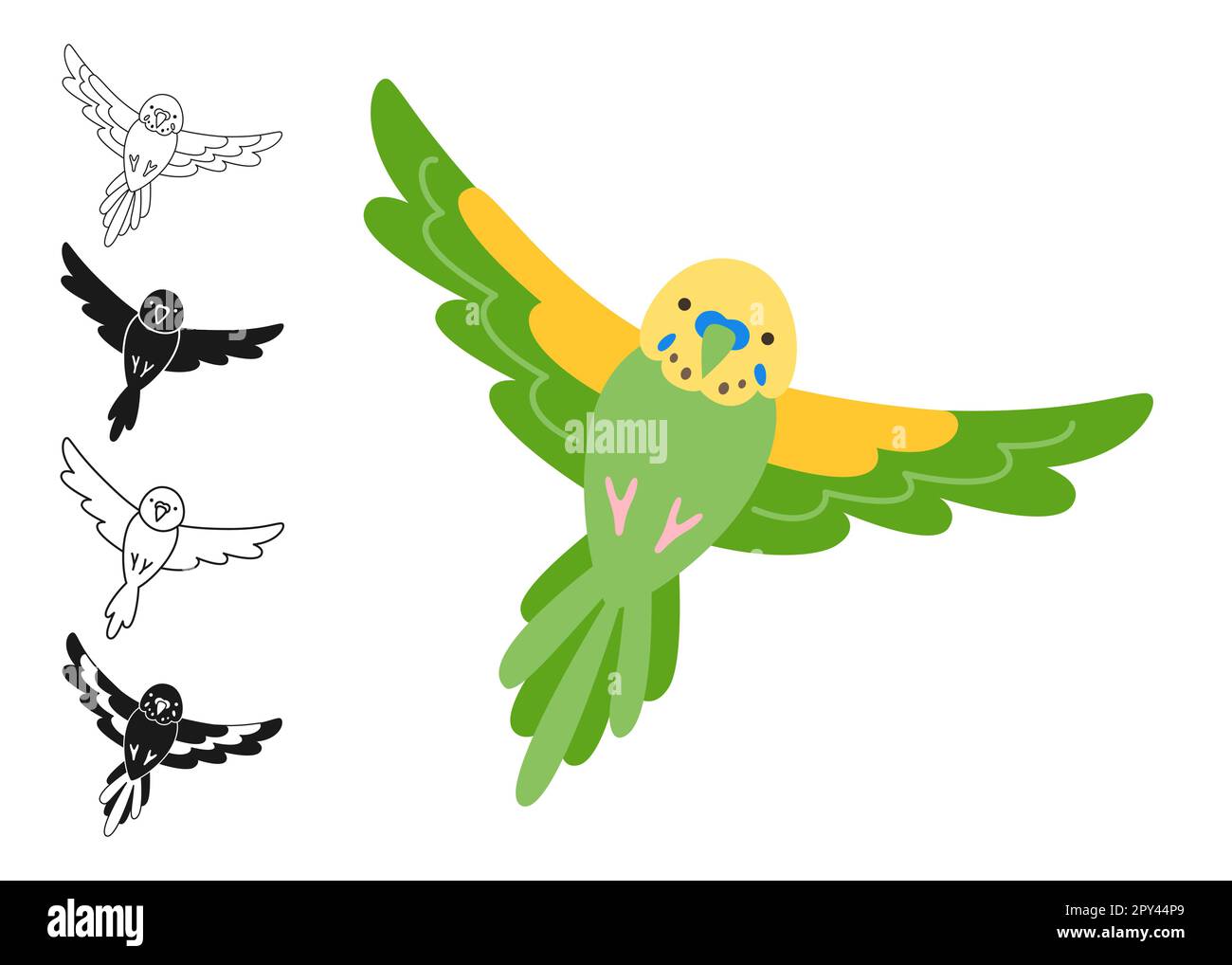 How To Draw A Parrot Flying