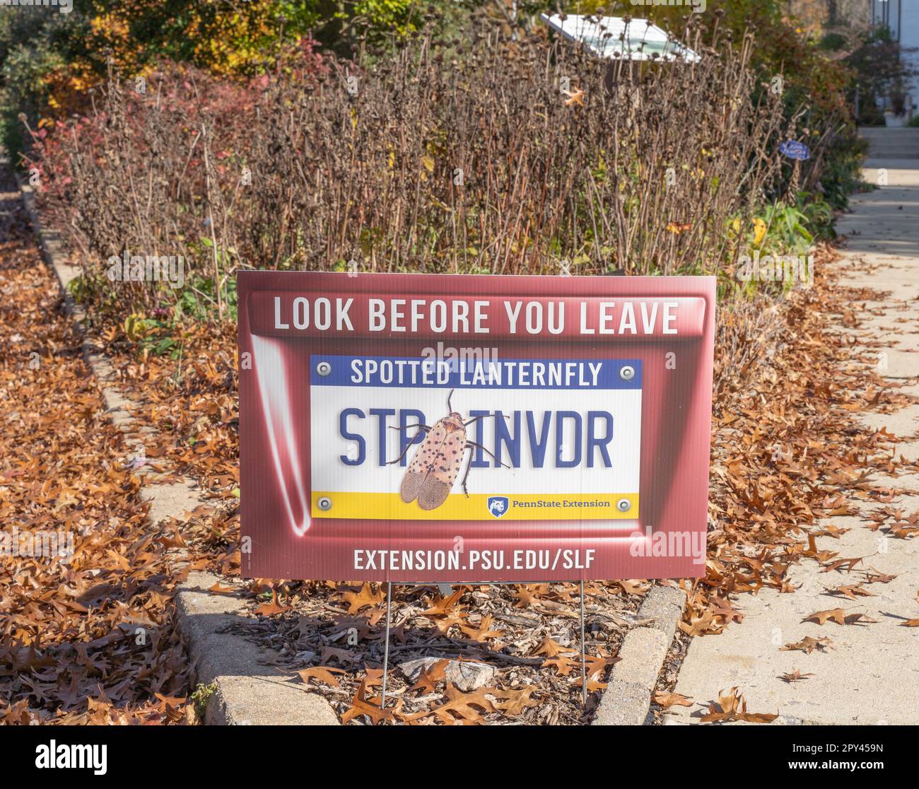 Berks County, Pennsylvania – November 2, 2022: Spotted Lanternfly Sign ...