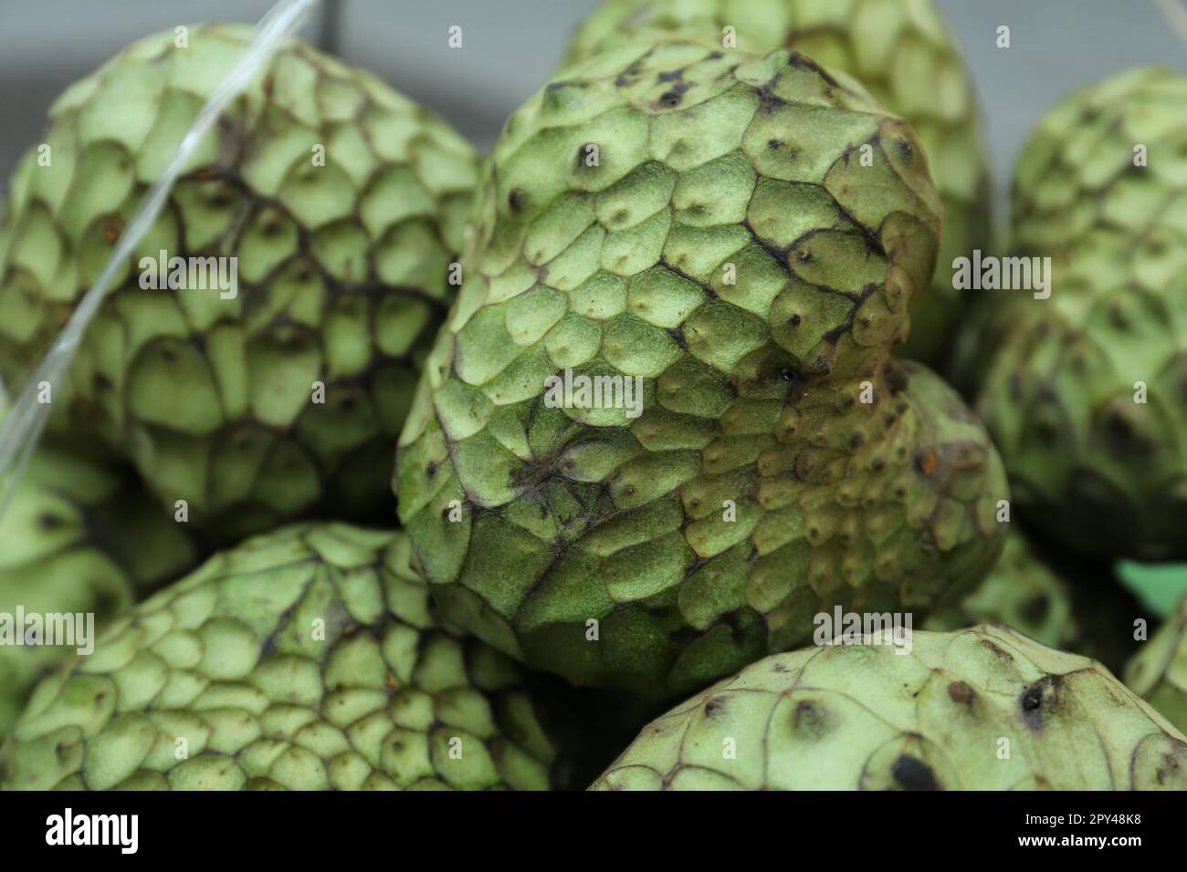 Scaly fruits hi-res stock photography and images - Alamy