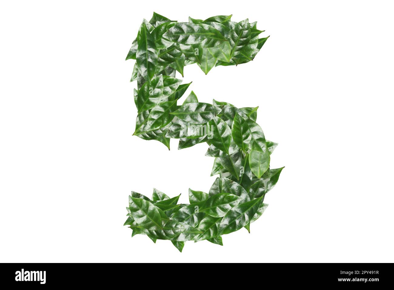 Floral number five design hi-res stock photography and images - Alamy