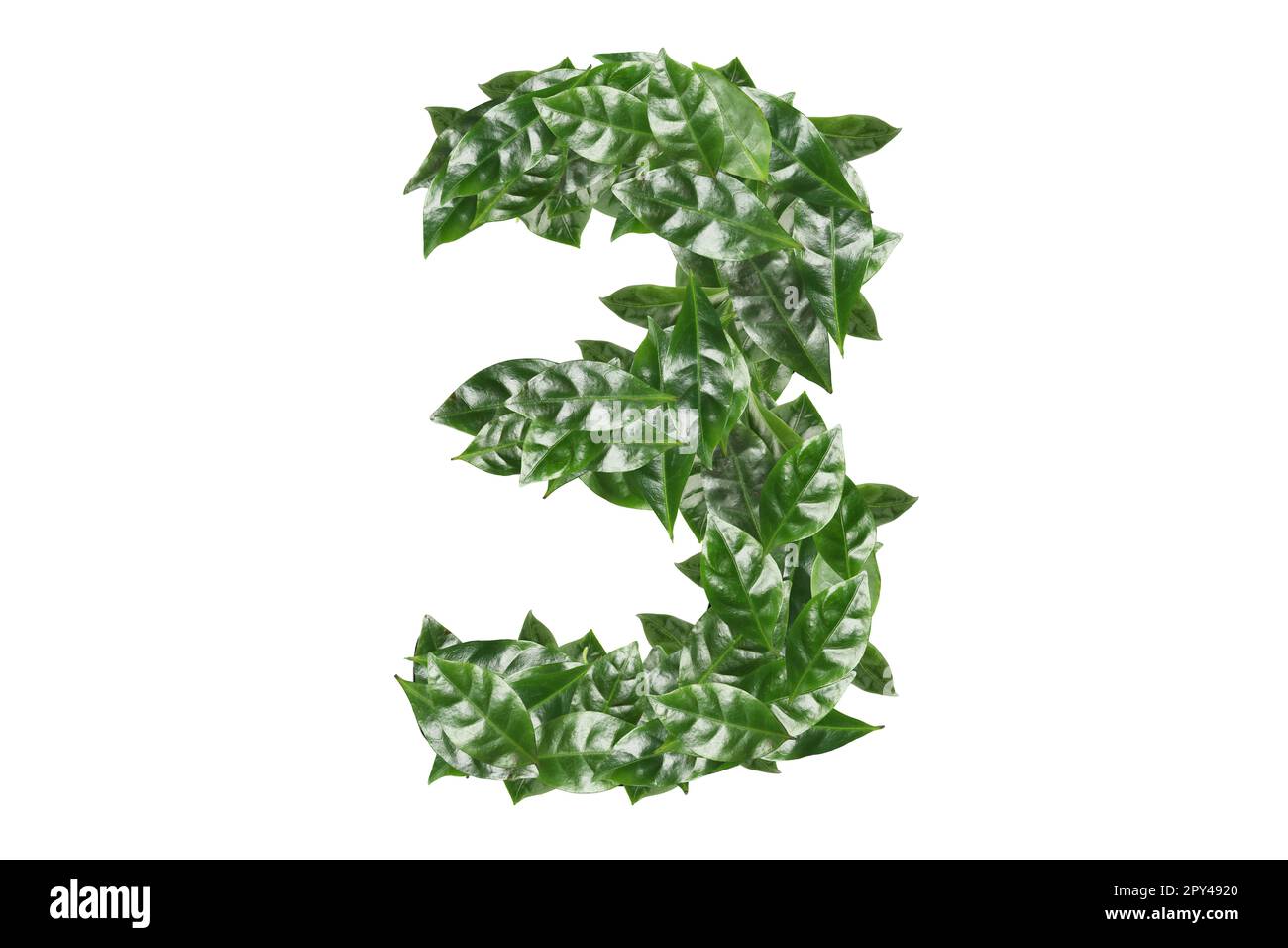 Number 3 made of fresh green leaves on white background Stock Photo - Alamy