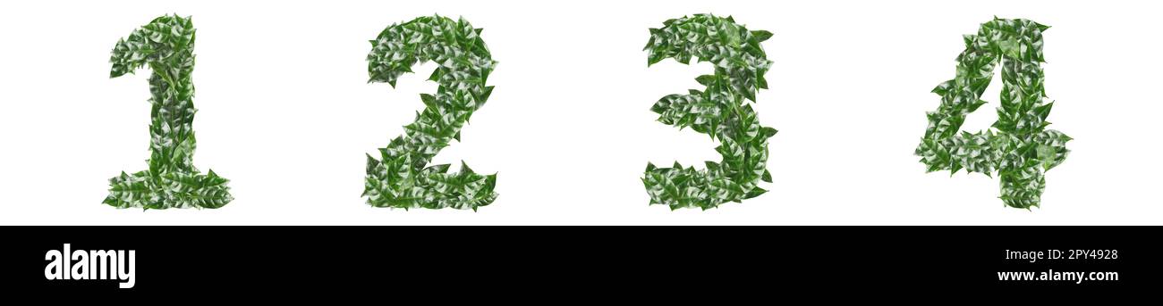 Numbers made of fresh green leaves on white background. Banner design ...