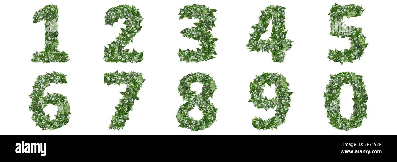Numbers made of fresh green leaves on white background. Banner design ...