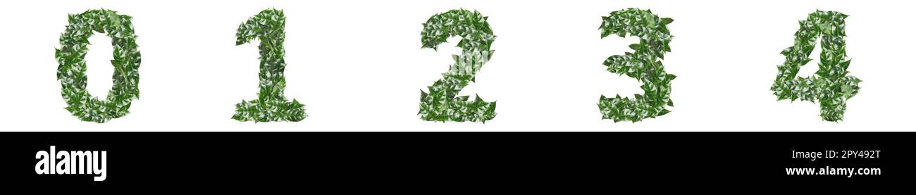 Numbers made of fresh green leaves on white background. Banner design ...