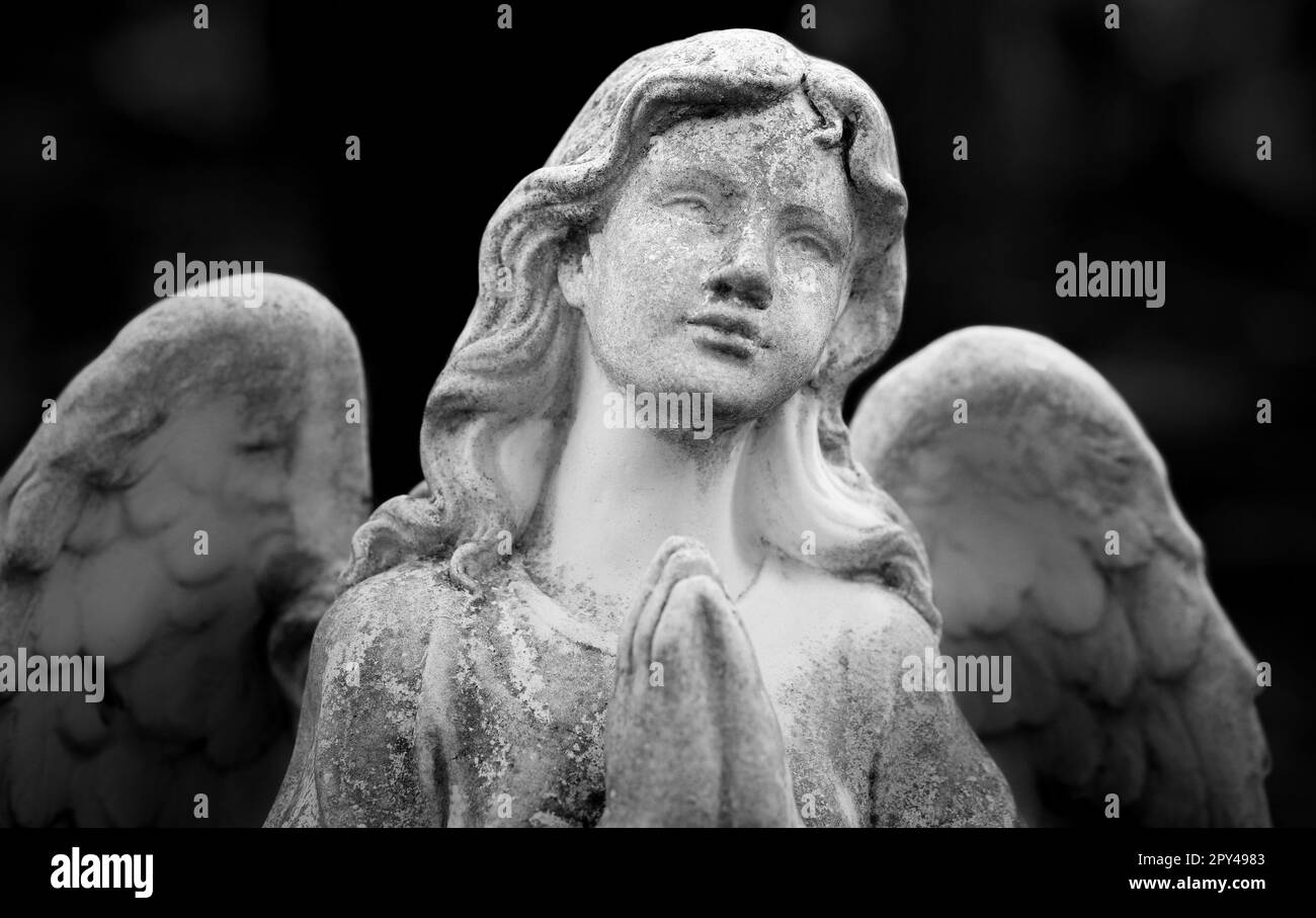 Beautiful statue of angel at cemetery. Monochrome photography Stock ...