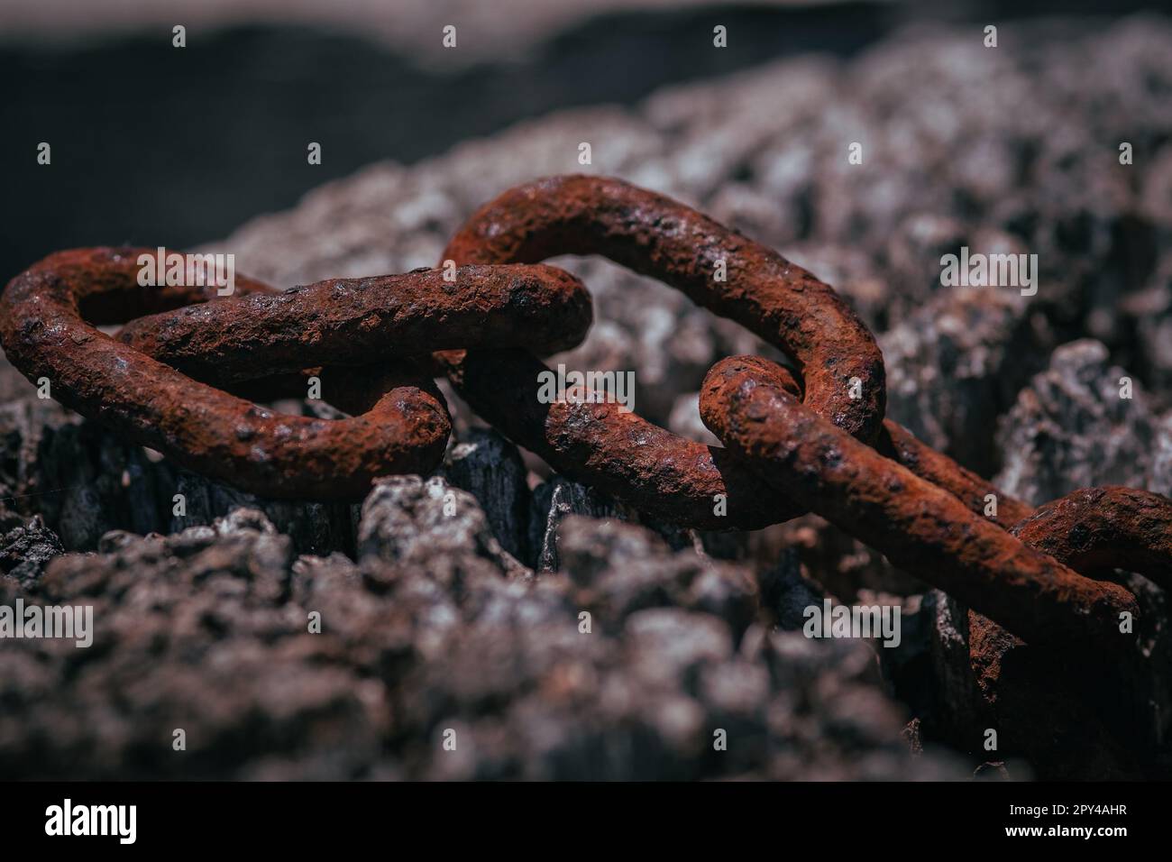 Chain link and wood fence hi-res stock photography and images - Alamy