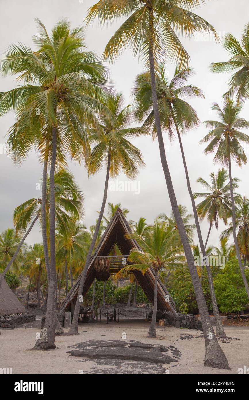 Hawaiin hale hi-res stock photography and images - Alamy