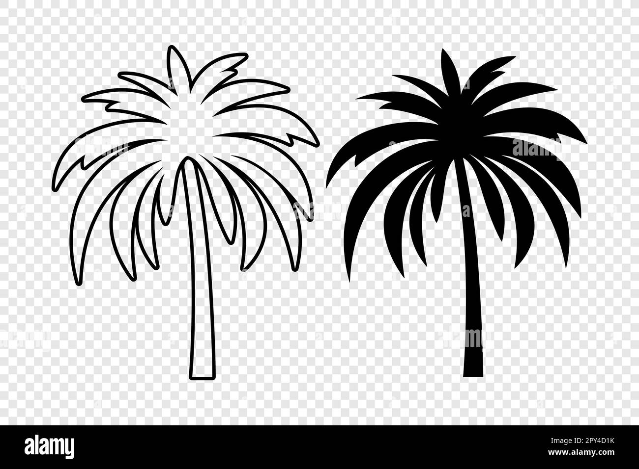 Vector Palm Trees, Palm Tree Icon Set Isolated. Palm Silhouettes ...