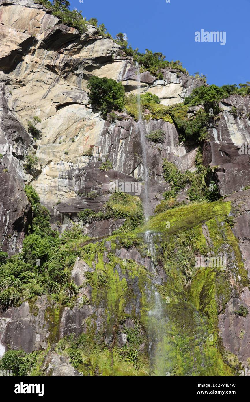 Milford sound waterfall hi-res stock photography and images - Alamy