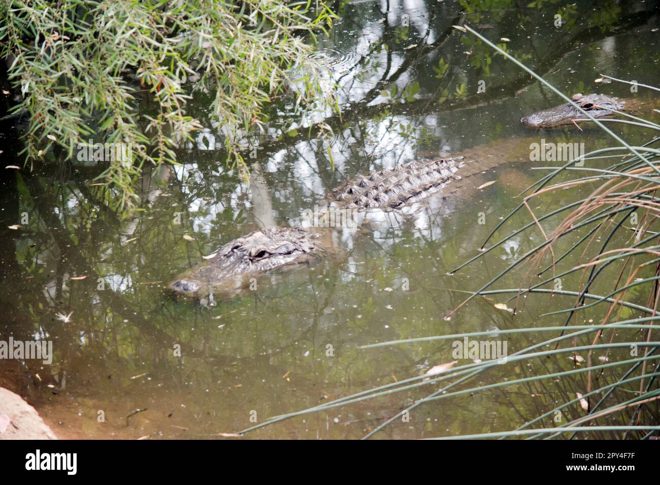 Deadly catch hi-res stock photography and images - Alamy