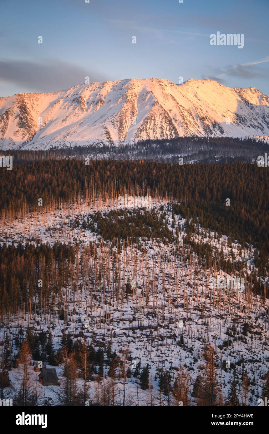 Beautiful early spring mountain landscape. View of the snow-white peaks ...