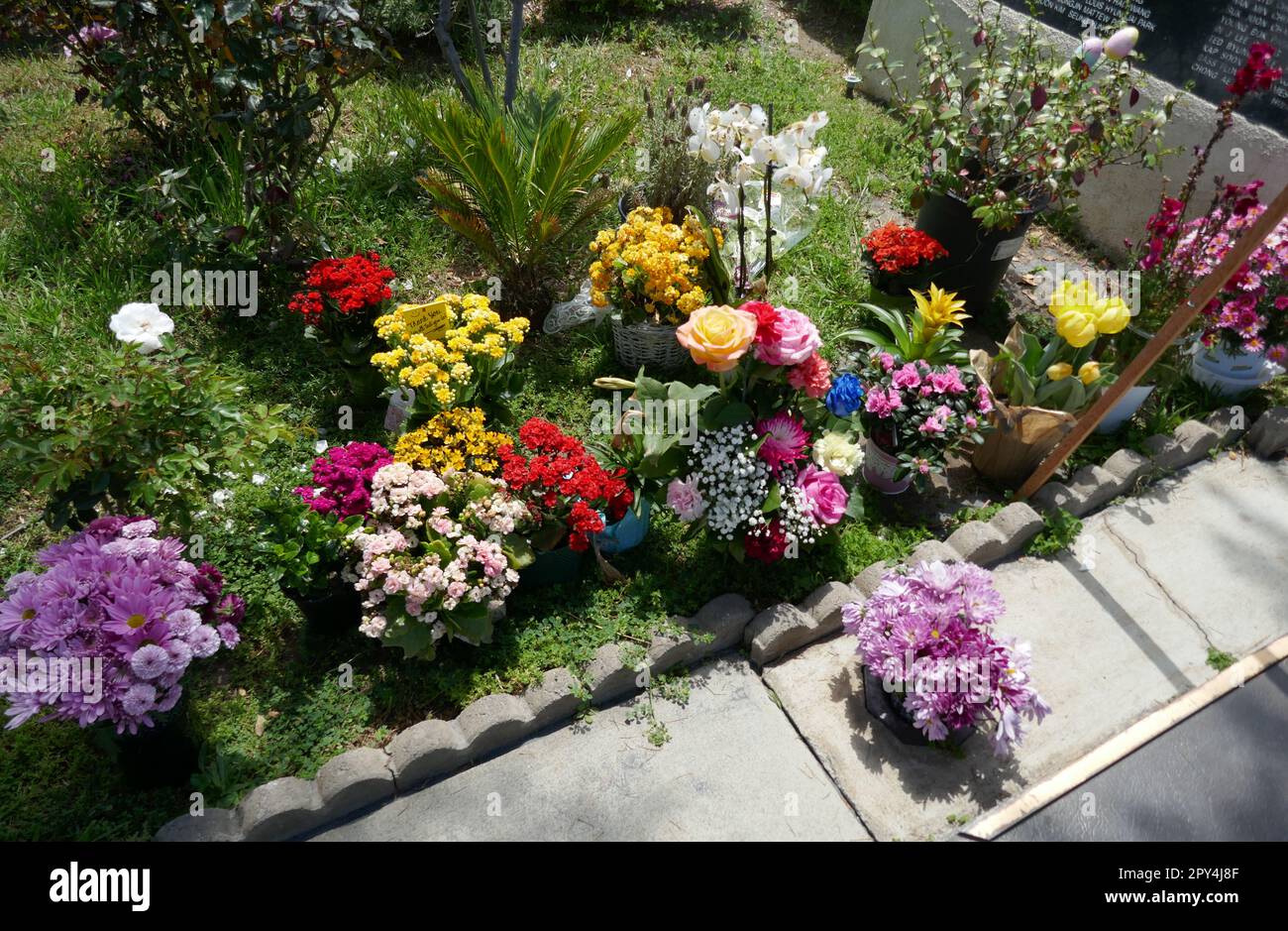 Los Angeles, California, USA 2nd May 2023 Rose Garden at Chapel of the ...