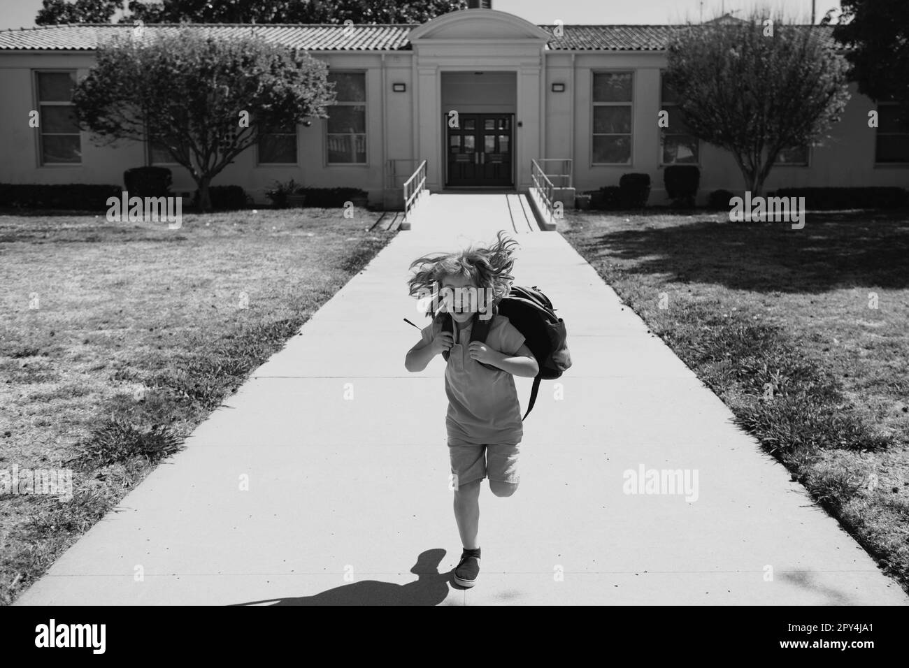 Back to school. Dynamic images that go back to the conceptual school ...